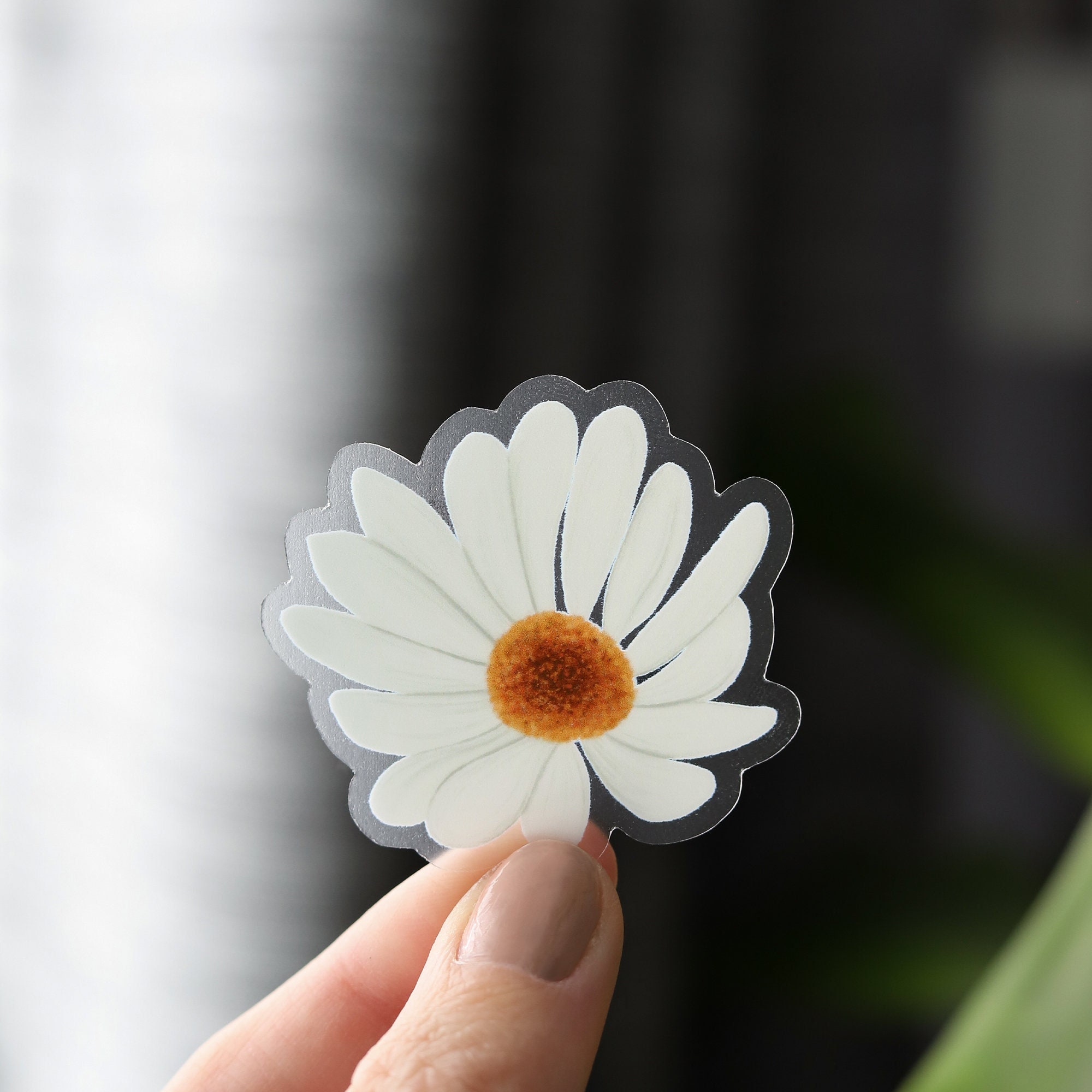 Clear Daisy Sticker Floral Sticker, White Daisy Vinyl Sticker, Phone ...