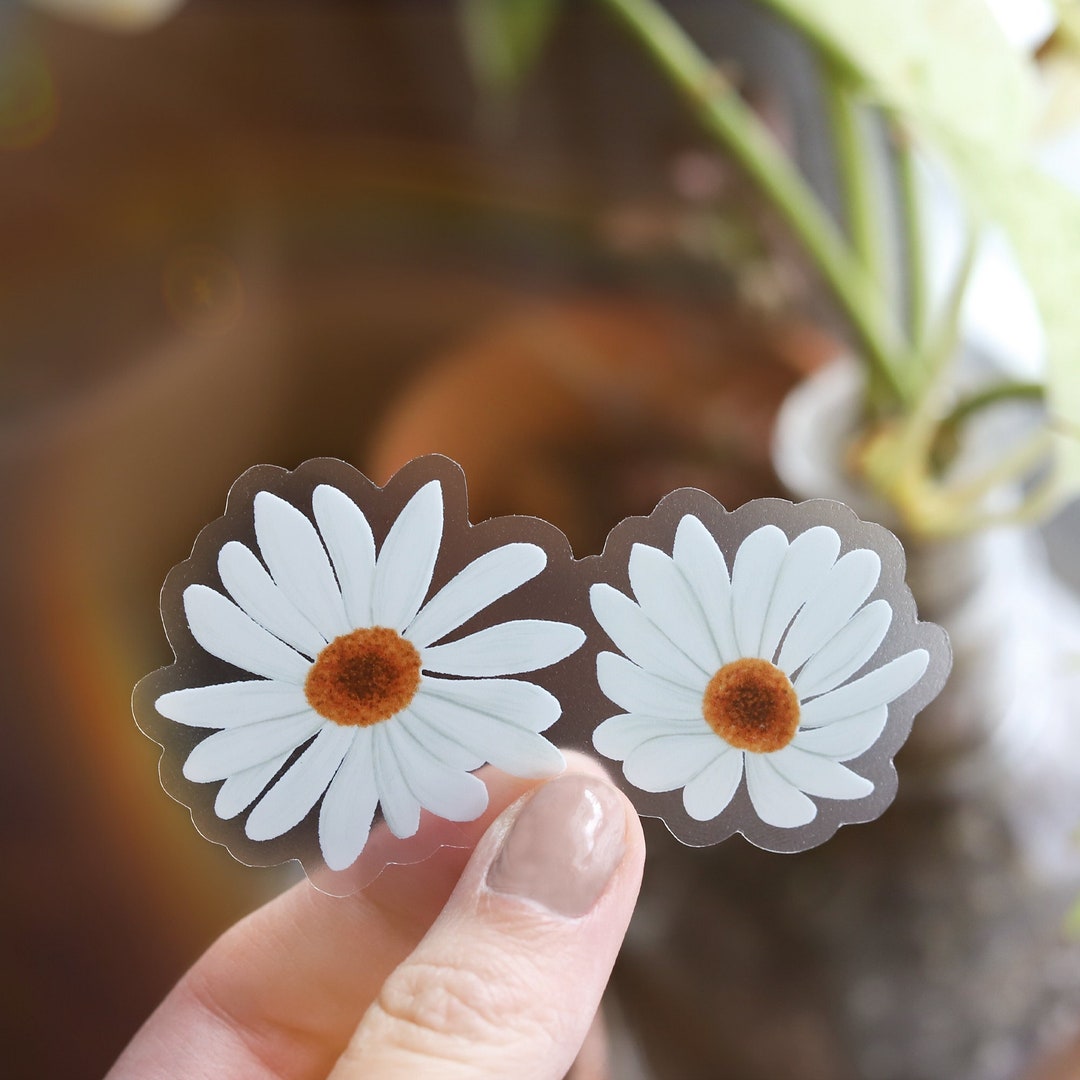 Daisies Sticker Clear Floral Sticker, White Daisies Vinyl Decal, Flower ...