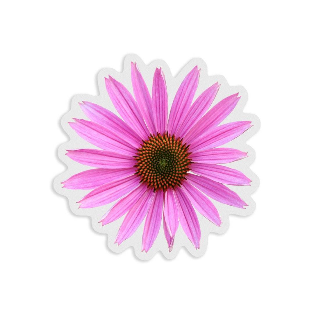 Clear Pink Coneflower Sticker | 3" X 2.98" Matte Vinyl Sticker ...