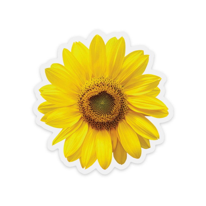 Sunflower Decal - Etsy