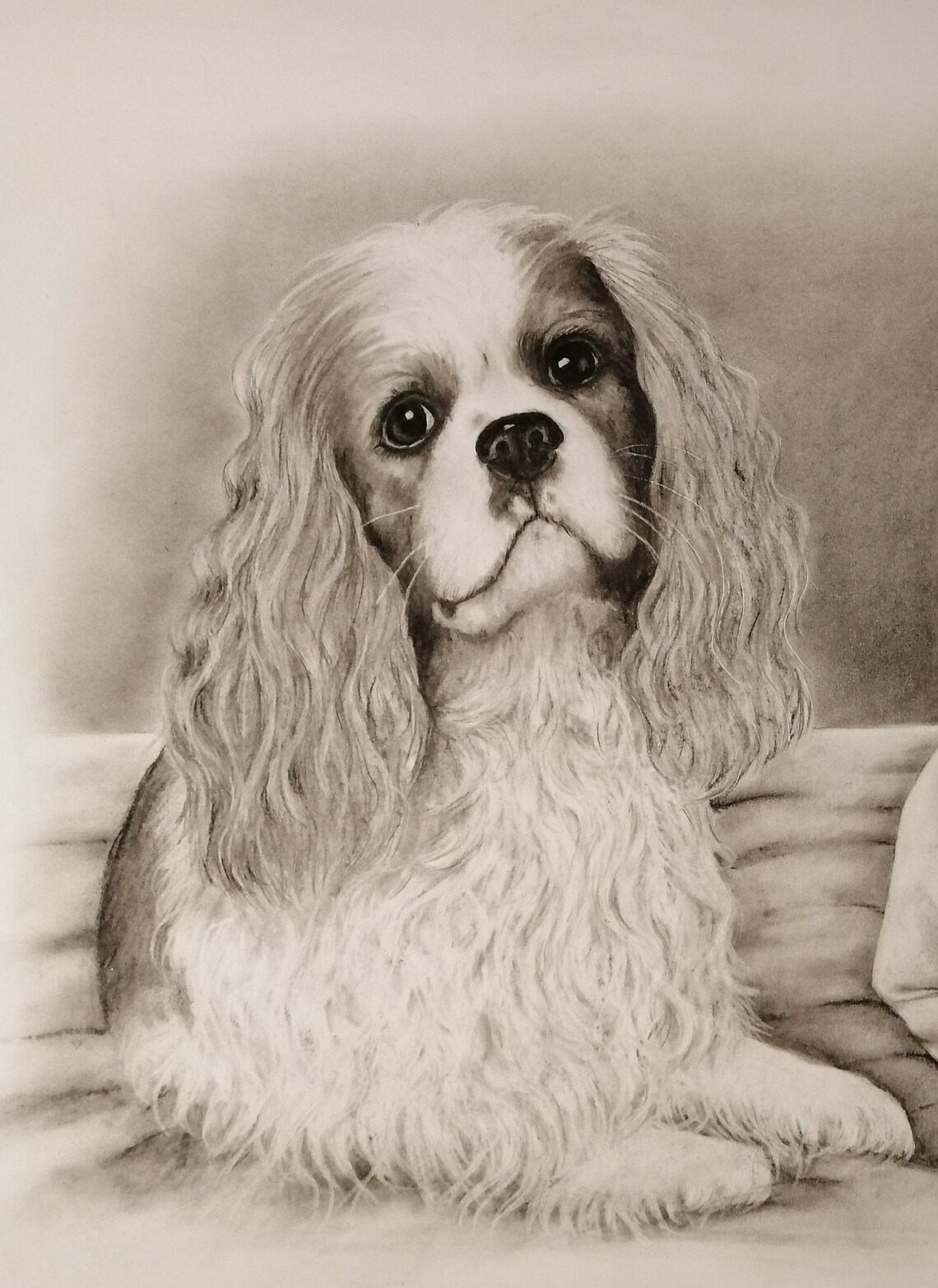 Pet Commission Painting Custom Dog Drawing From Photo | Etsy