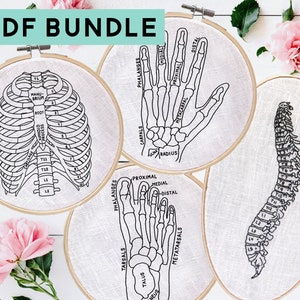 Anatomy Embroidery Pattern Bundle, Ribs Hand Foot Spine, Physical ...