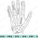 Hand Anatomy Clipart Hand Clipart Hand Graphic Hand Clip - Etsy