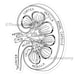 Kidney Anatomy Sticker, Kidney Sticker, Kidney Decal, Chronic Kidney ...