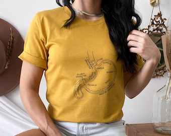 Biology Teacher Shirt,anatomical Chart Digestive System Shirt,human ...