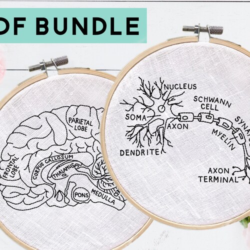 DIY Brain Embroidery Pattern Brain Anatomy Embroidery | Etsy