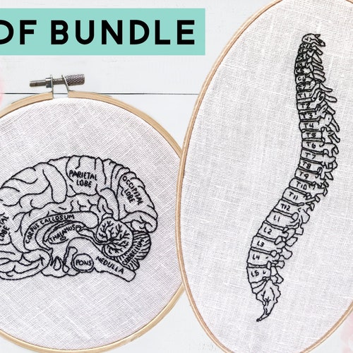 DIY Brain Embroidery Pattern Brain Anatomy Embroidery | Etsy
