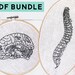 DIY Brain and Spine Embroidery Bundle, Vintage Anatomy Pattern ...