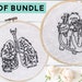 Anatomy Embroidery Pattern Bundle, Nurse Embroidery Guide, DIY Medical ...