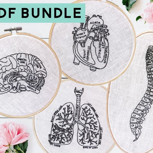 Anatomy Embroidery Pattern Bundle Nurse Embroidery Guide DIY | Etsy