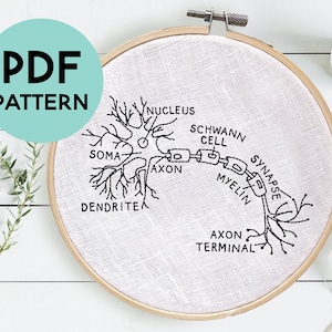 Neuron Embroidery Pattern, Neuron Anatomy, Medical Embroidery, Nurse ...