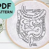 Embroidery Bundle - Human Anatomy Patterns PDF, Video Tutorials ...