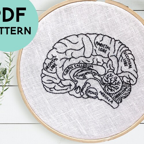 DIY Brain Embroidery Pattern Brain Anatomy Embroidery | Etsy