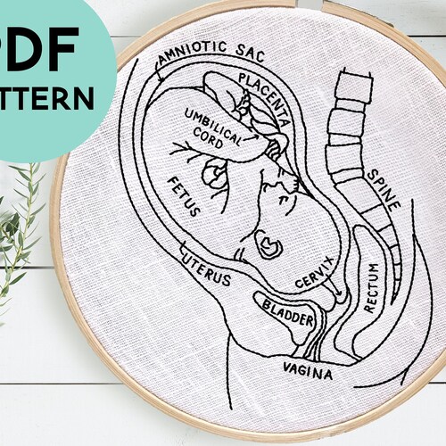 DIY Pregnancy Anatomy Embroidery Fetus in Utero Pattern PDF - Etsy