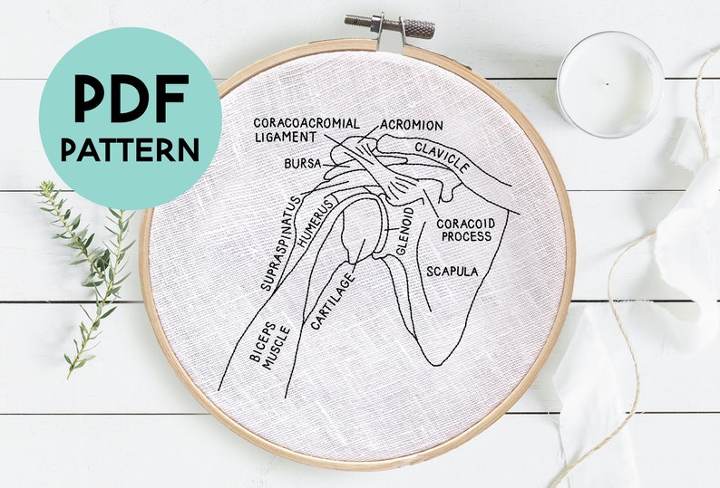 Free anatomy embroidery patterns - hotvolf