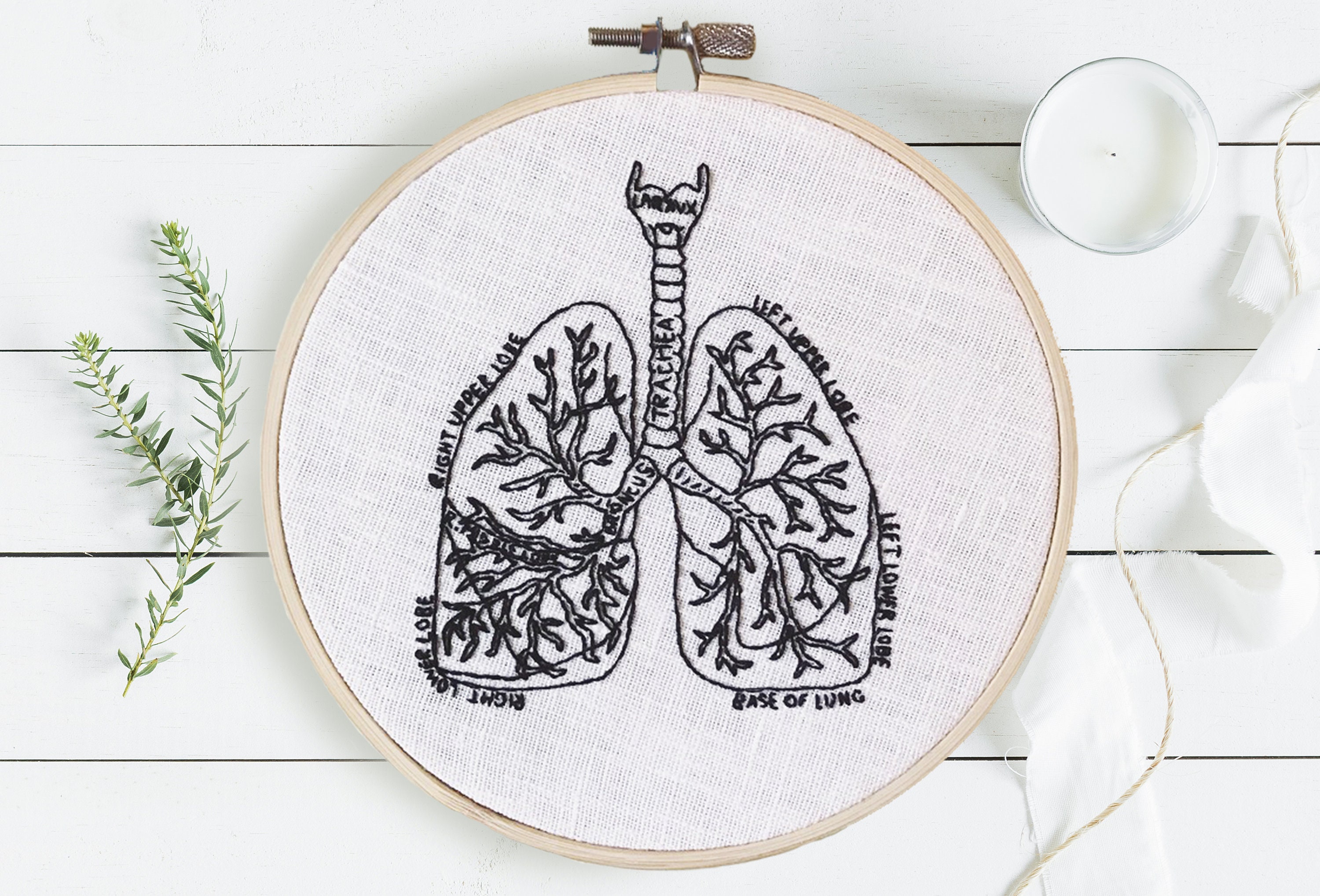 Anatomy Embroidery Pattern Bundle, Nurse Embroidery Guide, DIY Medical ...