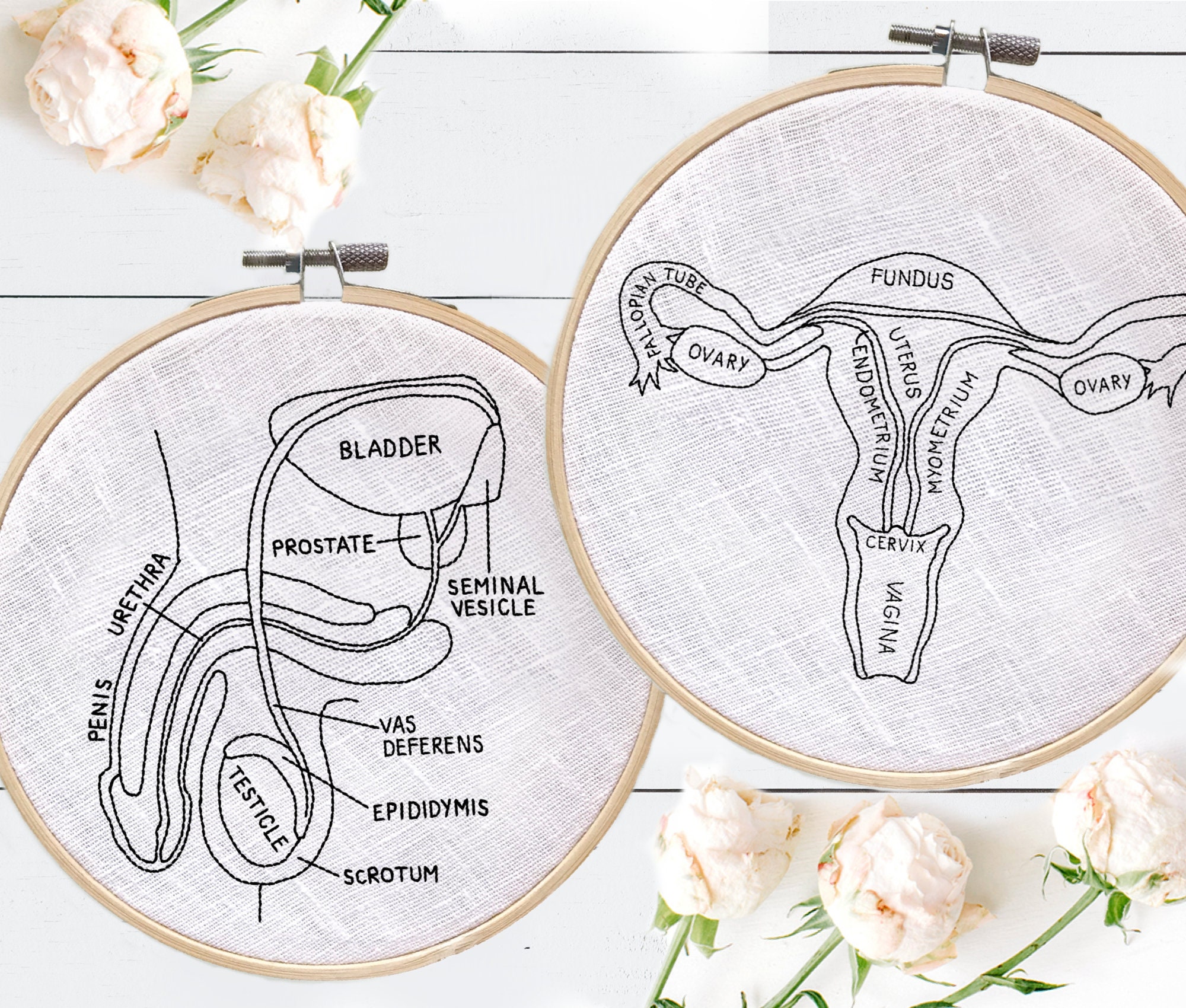 DIY Uterus & Penis Anatomy Embroidery Bundle Uterus - Etsy Finland