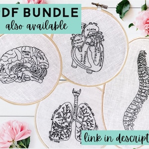 Neurology Embroidery Bundle, DIY Brain & Neuron Anatomy Embroidery ...