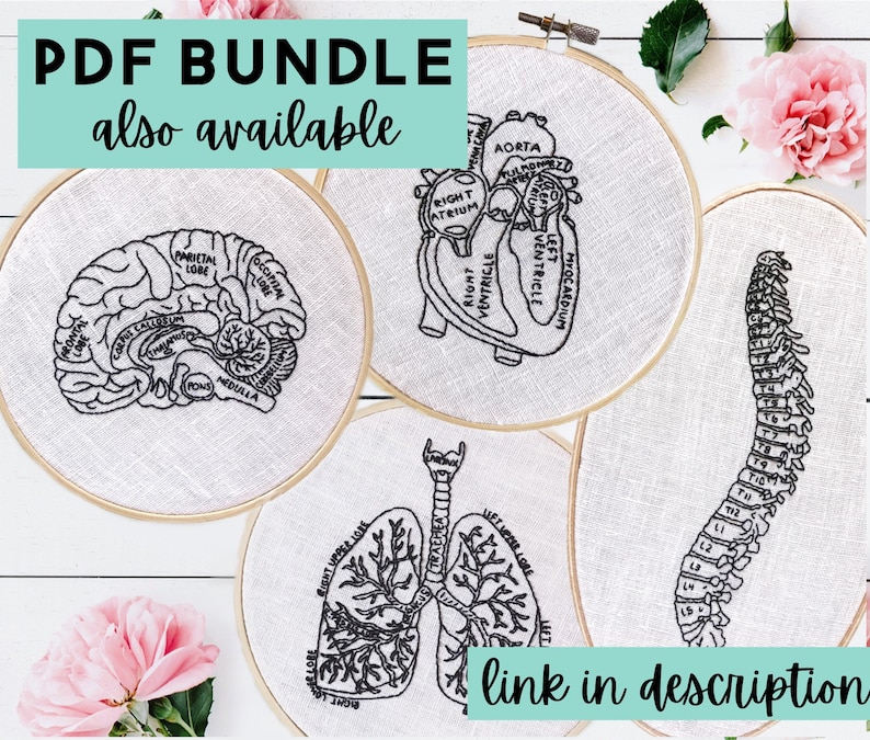 Neurology Embroidery Bundle, DIY Brain & Neuron Anatomy Embroidery ...