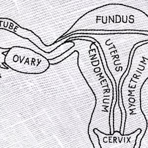 DIY Uterus Embroidery Pattern, Feminist Embroidery Pattern, Uterus ...