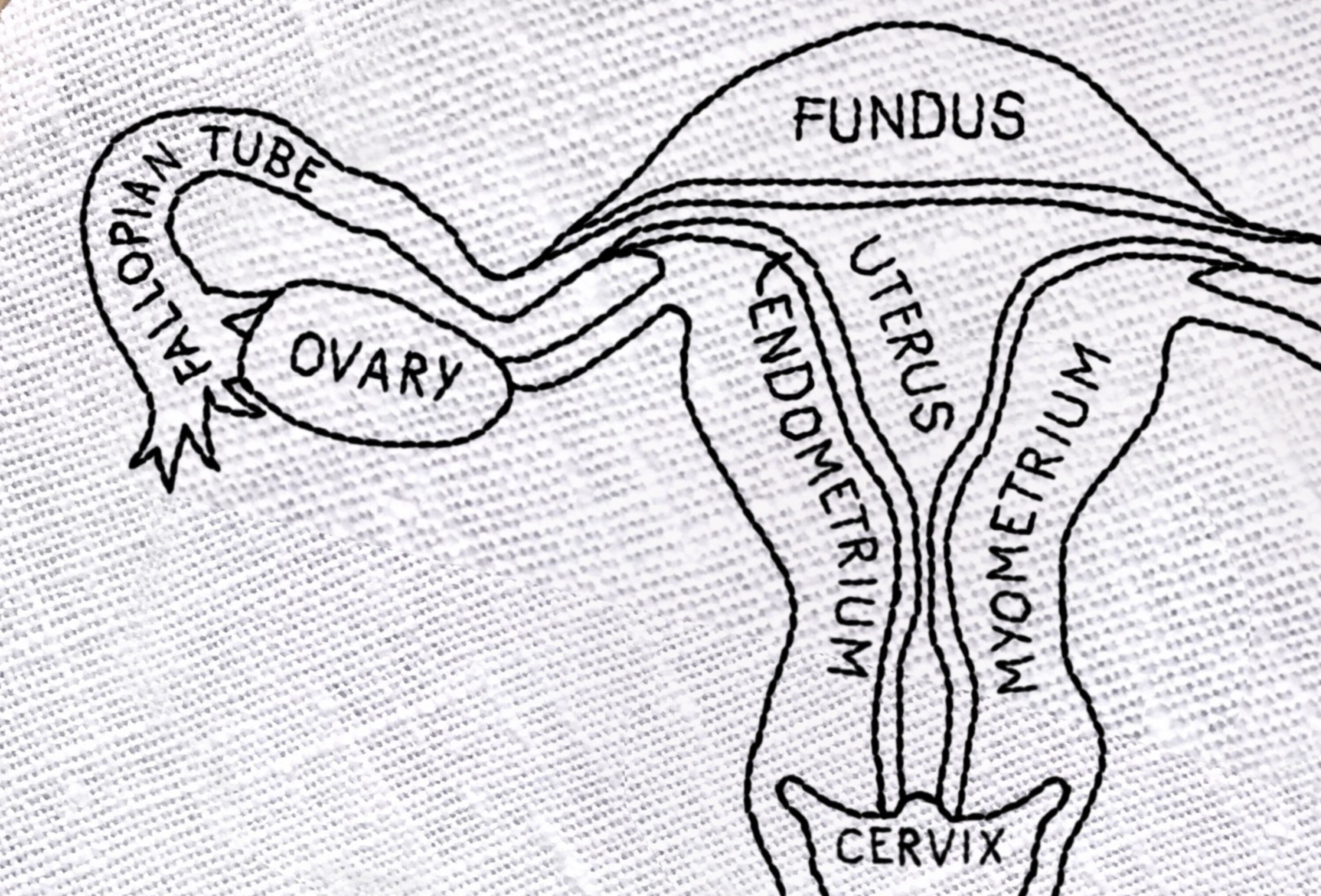 DIY Uterus Embroidery Pattern Feminist Embroidery Pattern | Etsy