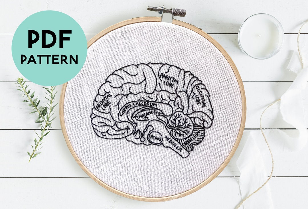 DIY Brain Embroidery Pattern, Brain Anatomy Embroidery Pattern ...