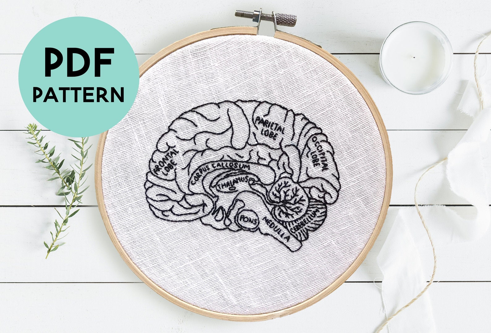 DIY Brain Embroidery Pattern Brain Anatomy Embroidery | Etsy