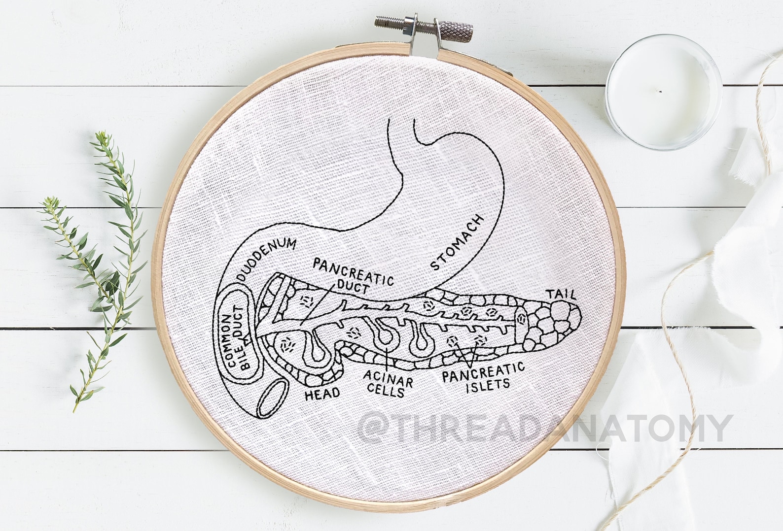 23 Anatomy Embroidery Patterns, Embroidery Pattern Bundle, Medical ...