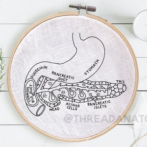 23 Anatomy Embroidery Patterns, Embroidery Pattern Bundle, Medical ...