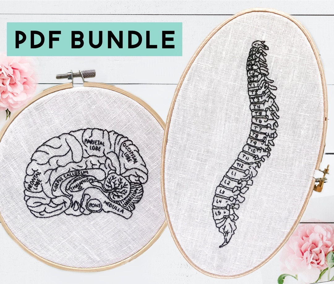 DIY Brain and Spine Embroidery Bundle, Vintage Anatomy Pattern ...