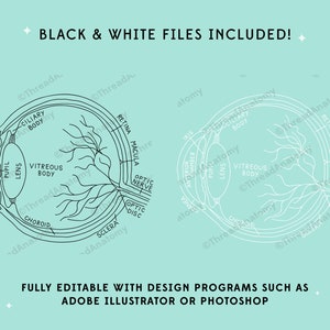 Eye Clipart, Eye Anatomy Graphic, Eyeball Clip Art, Eye Illustration ...