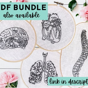 DIY Heart Anatomy Embroidery Pattern, Heart Embroidery, Anatomical ...