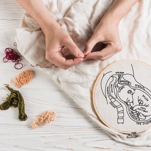 DIY Pregnancy & Uterus Anatomy Embroidery Bundle, DIY Midwife Gift ...