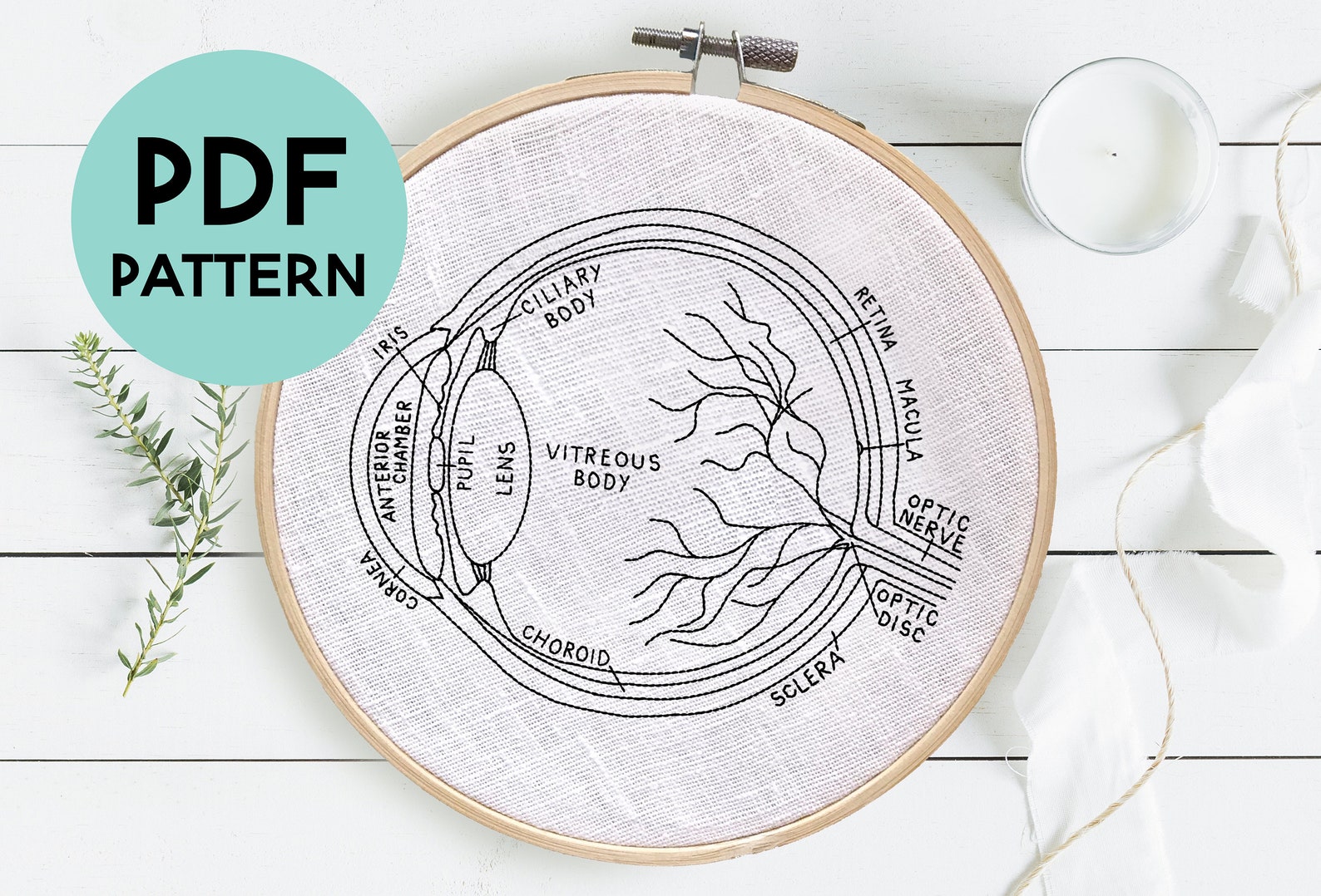 DIY Eye Anatomy Embroidery Pattern Eyeball Pattern - Etsy