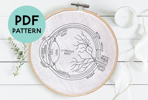 DIY Eye Anatomy Embroidery Pattern Eyeball Pattern - Etsy