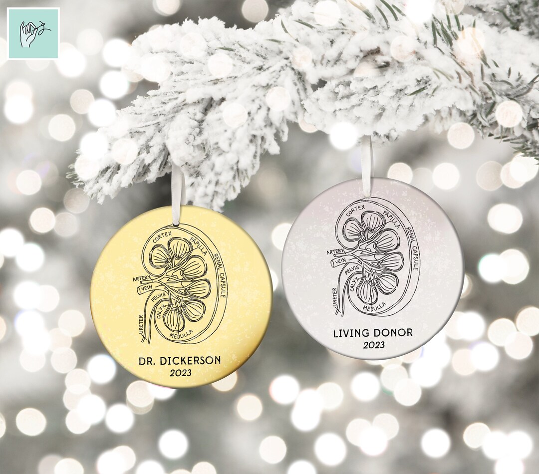 Custom Kidney Ornament Kidney Anatomy Ornament Nephrology - Etsy
