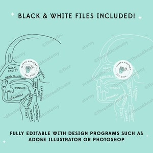 Nose & Throat Anatomy SVG, Nose and Throat Clipart, ENT Graphic ...