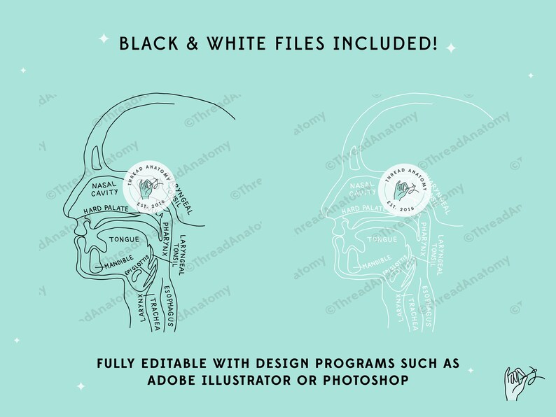 Nose & Throat Anatomy SVG, Nose and Throat Clipart, ENT Graphic ...