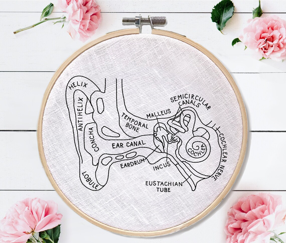 DIY Ear Anatomy Embroidery Pattern Inner Ear Anatomy Art | Etsy