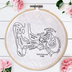 DIY Ear Anatomy Embroidery Pattern, Inner Ear Anatomy Art, Audiologist ...