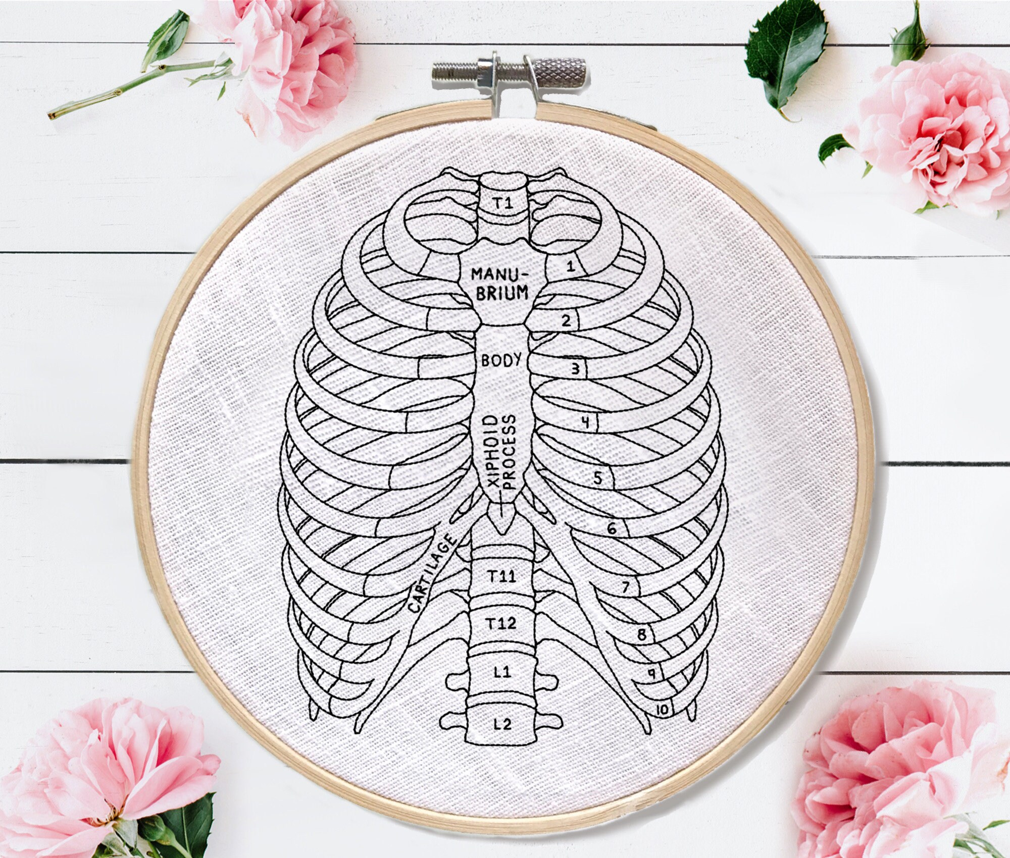 Ribs DIY Embroidery Pattern Ribs Anatomy Pattern Medical | Etsy