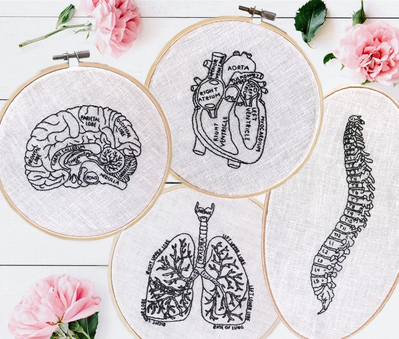 Anatomy Embroidery Pattern Bundle Nurse Embroidery Guide DIY | Etsy