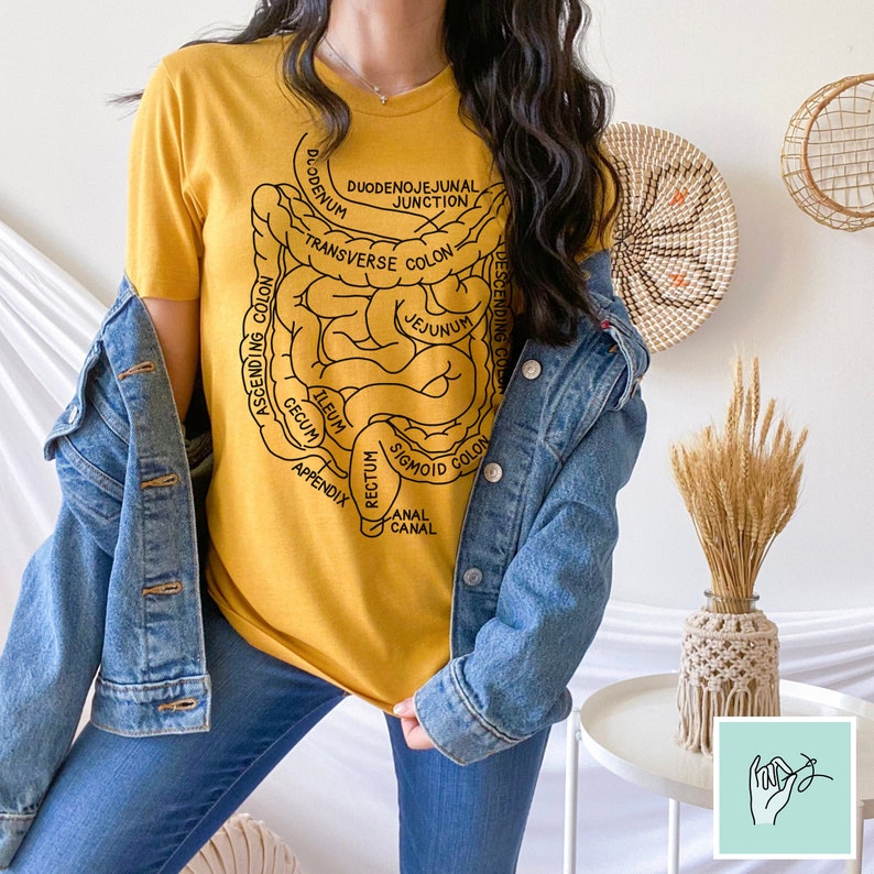 Intestines Anatomy Shirt Intestines Shirt Intestinal - Etsy