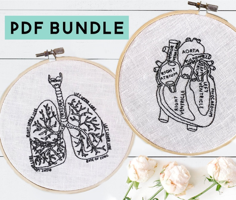 Free anatomy embroidery patterns - joinholf