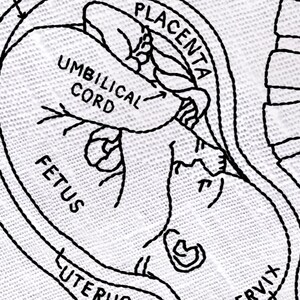 DIY Pregnancy & Uterus Anatomy Embroidery Bundle, DIY Midwife Gift ...