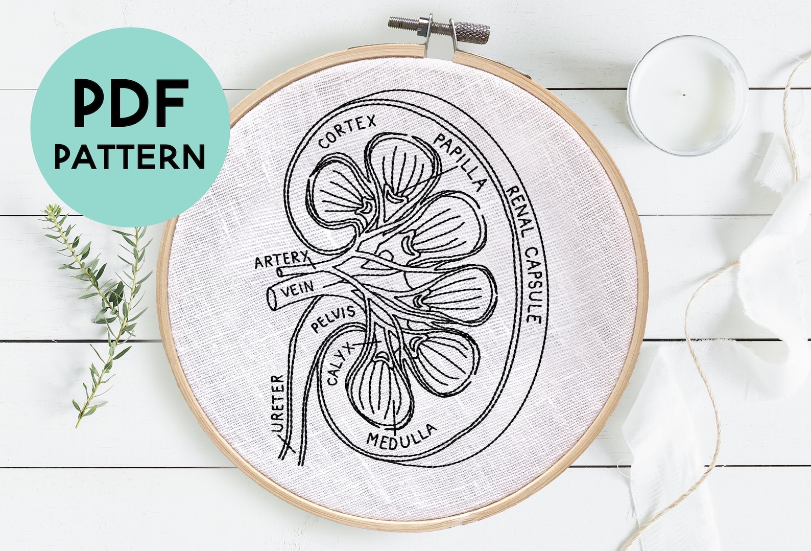 DIY Kidney Embroidery Pattern Kidney Anatomy Art Medical - Etsy