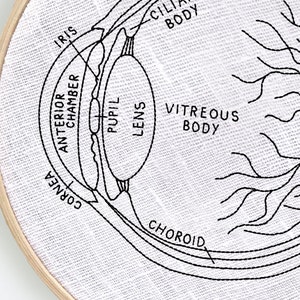 DIY Eye Anatomy Embroidery Pattern, Eyeball Pattern, Optometrist ...