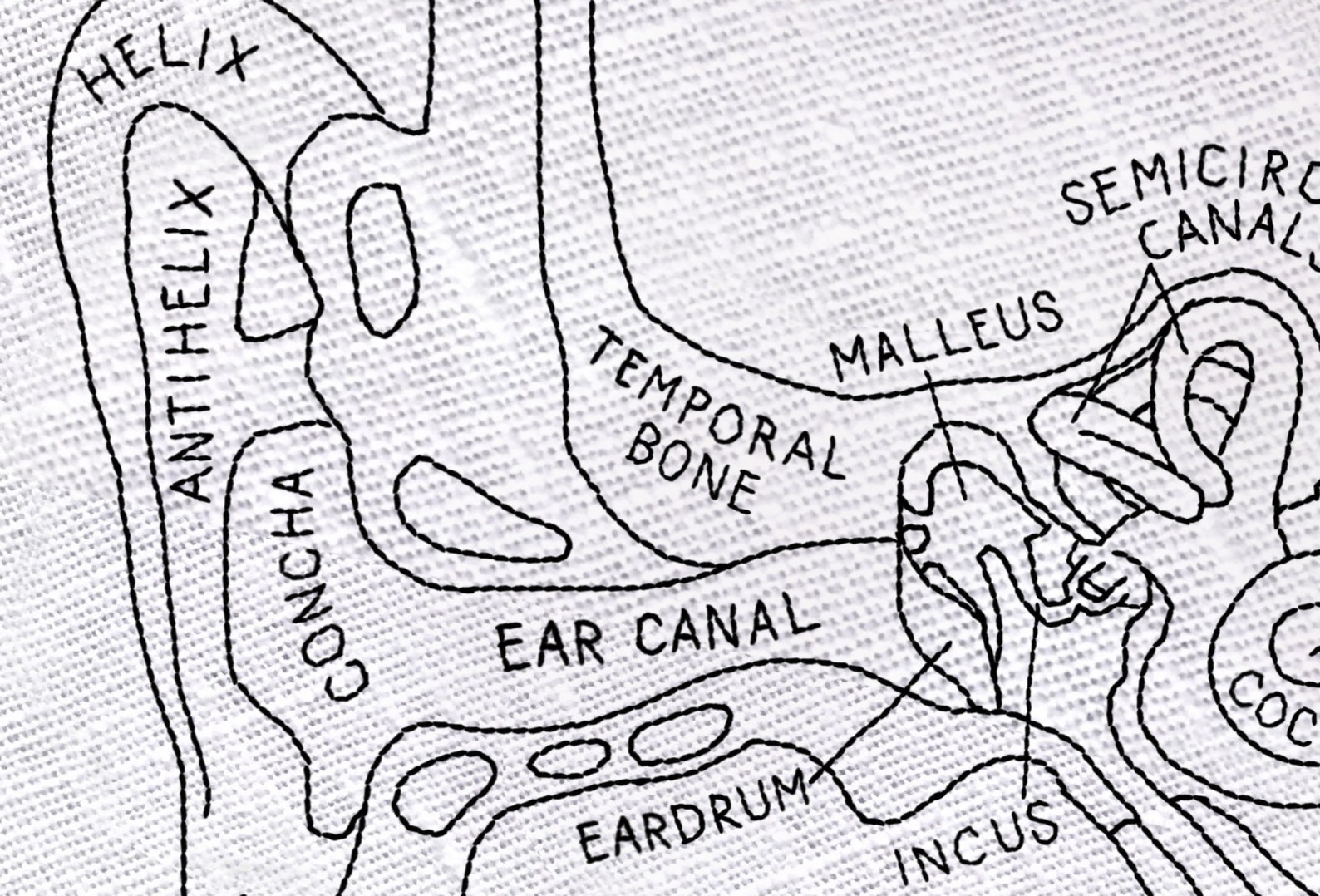 DIY Ear Anatomy Embroidery Pattern Inner Ear Anatomy Art - Etsy