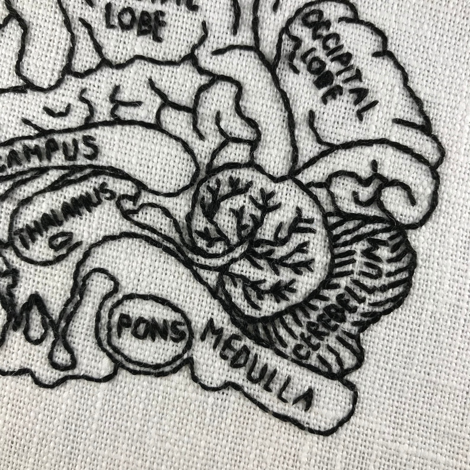 DIY Brain Embroidery Pattern Brain Anatomy Embroidery | Etsy