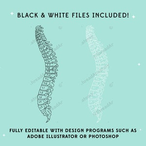 Spine SVG, Spine Clipart, Spine Anatomy Clip Art, Spine Graphic, Spine ...